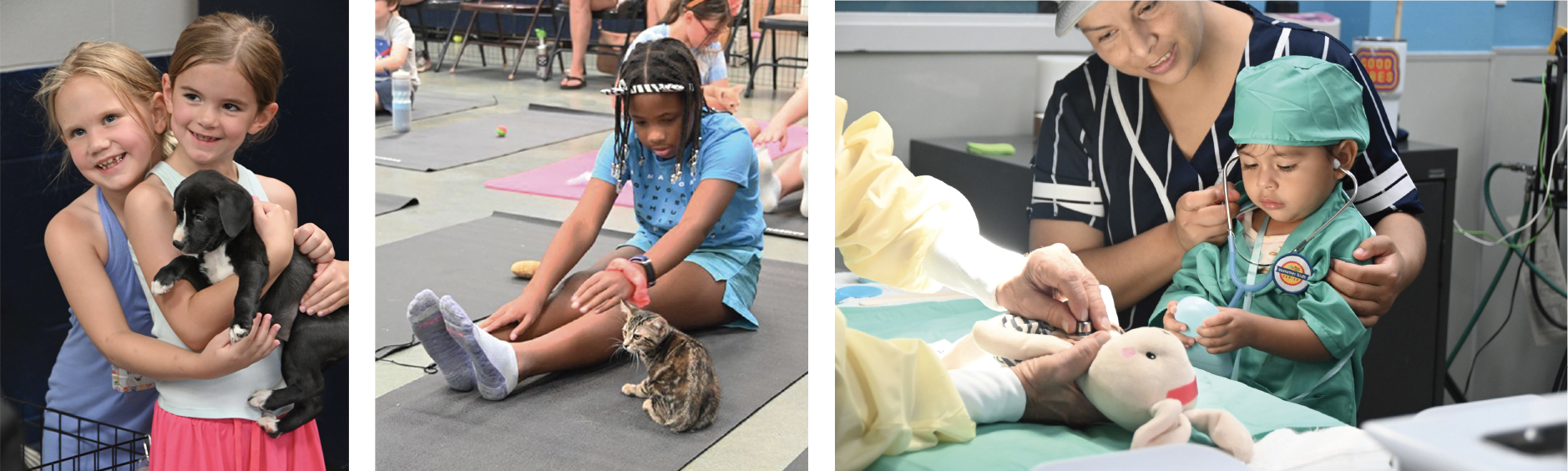 Summer Kids Series - Austin Humane Society