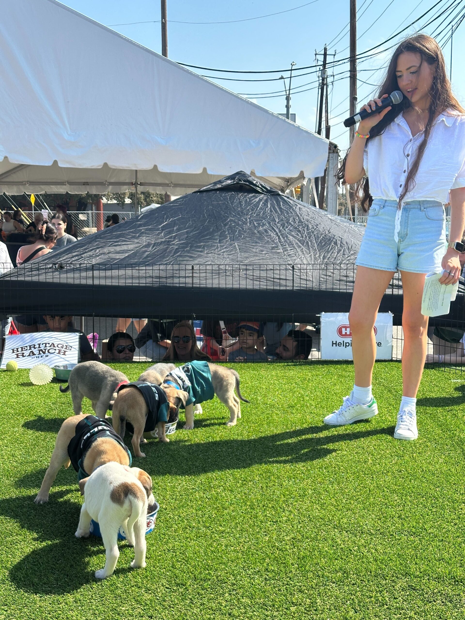 Austin Humane Society In The News & Media